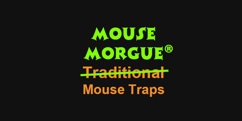 More Effective & Easy-to-Set Mouse Traps | Mouse Morgue